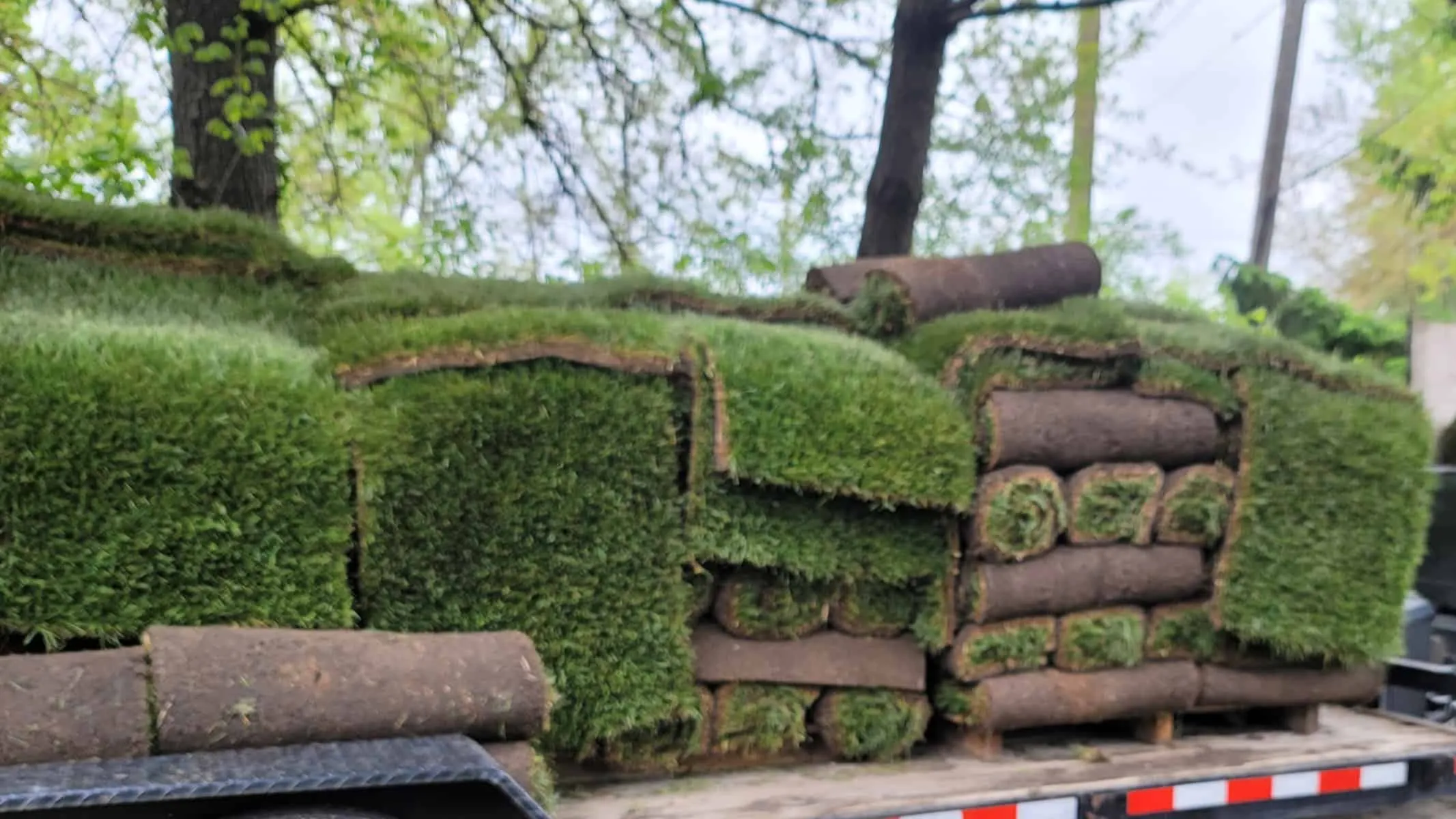 Cande Native Landscape Chicago - Natural Landscaping Services
